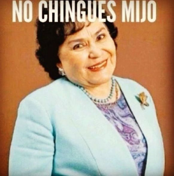 Los memes de Carmen Salinas – Fernando Ortiz